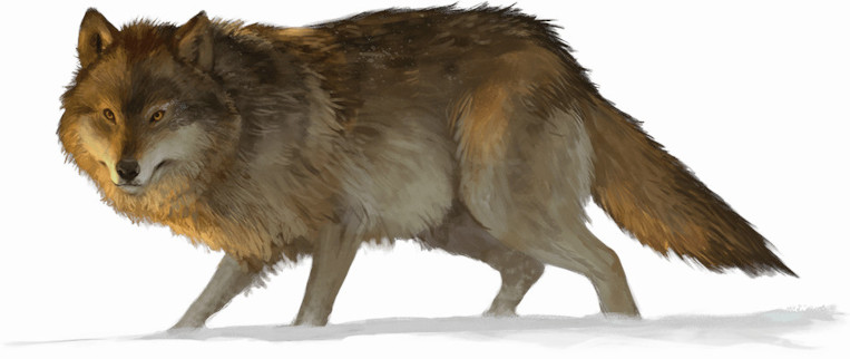 Wolf » DnD 2024 Monsters